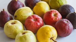 7 Different Types of Guava: Flavors and Benefits - Randy Lemmon