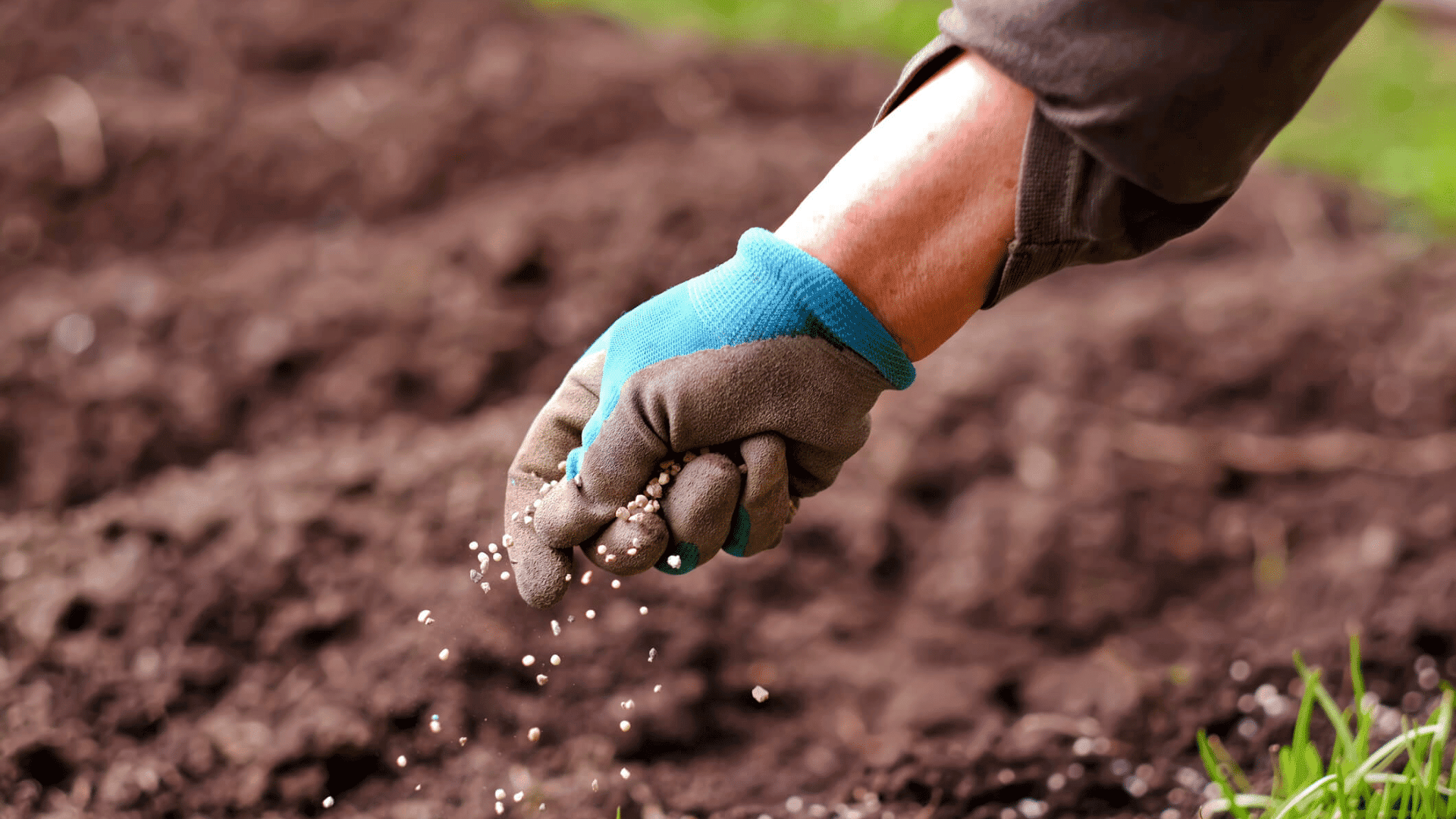 Easy Ways to Enrich Your Garden Soil - Randy Lemmon