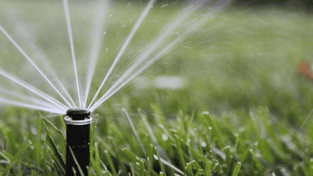 Understanding the Types of Sprinkler Heads - Randy Lemmon