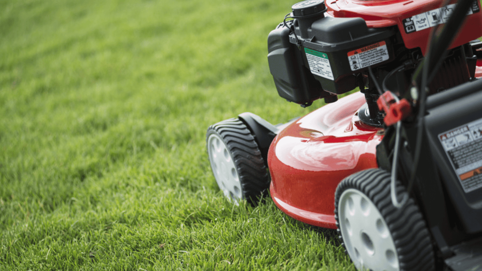 Why Is My New Sod Turning Brown? Causes and Fixes - Randy Lemmon