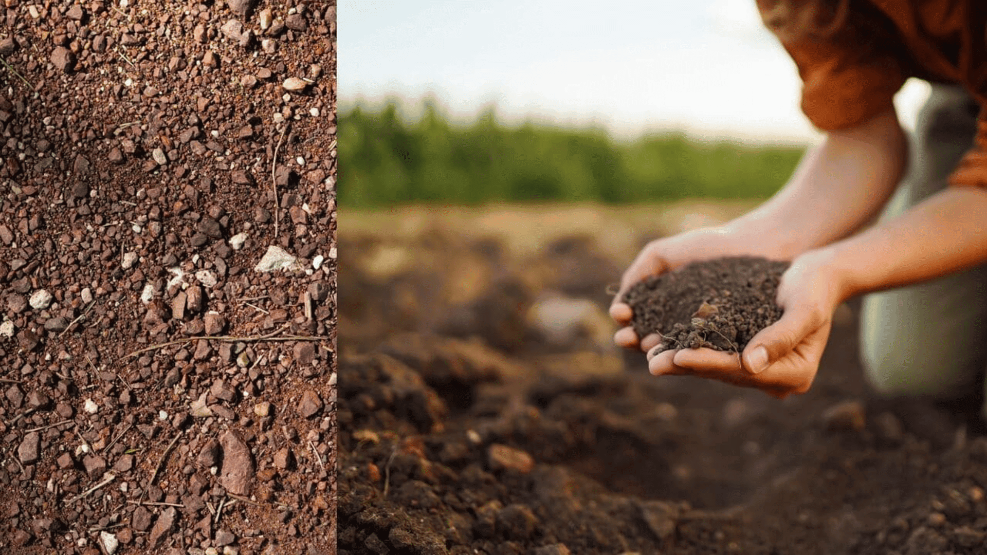 How Much Topsoil Do You Really Need? - Randy Lemmon