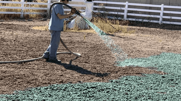 New Lawn Care: A Simple Beginner’s Guide - Randy Lemmon