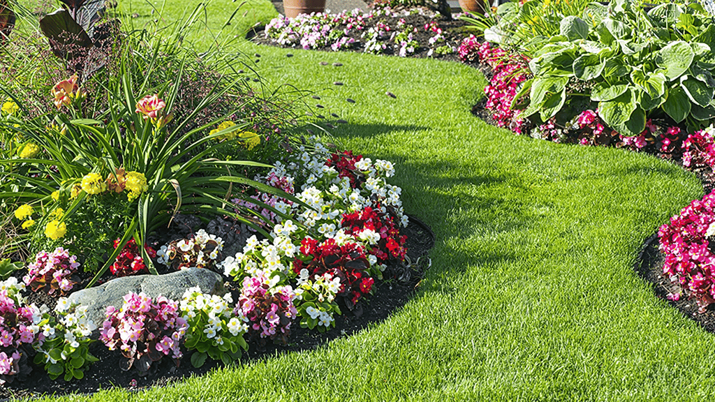 Hardscape vs Softscape: What’s the Key Difference? - Randy Lemmon