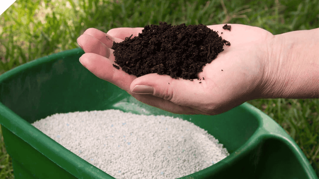 How Long Does It Take for Fertilizer to Work on Grass? - Randy Lemmon