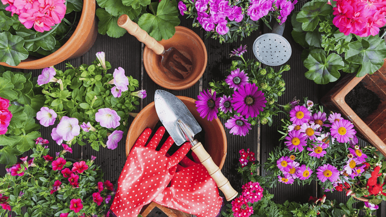 How Do I Know When to Plant Spring Flowers? - Randy Lemmon