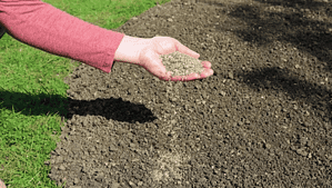 Can You Just Sprinkle Grass Seed on Lawn? - Randy Lemmon