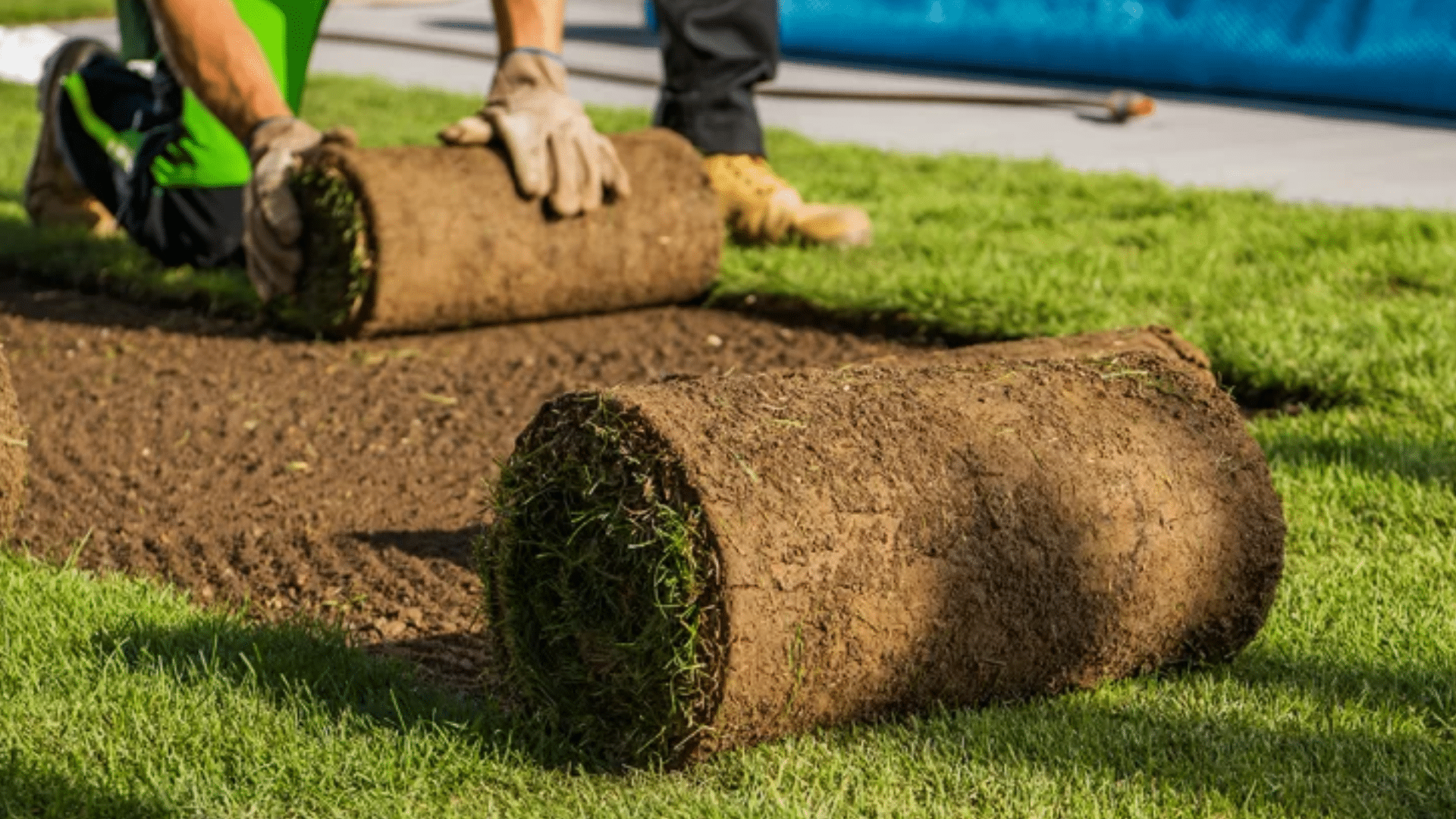 12 Common Sod Laying Mistakes To Avoid Randy Lemmon