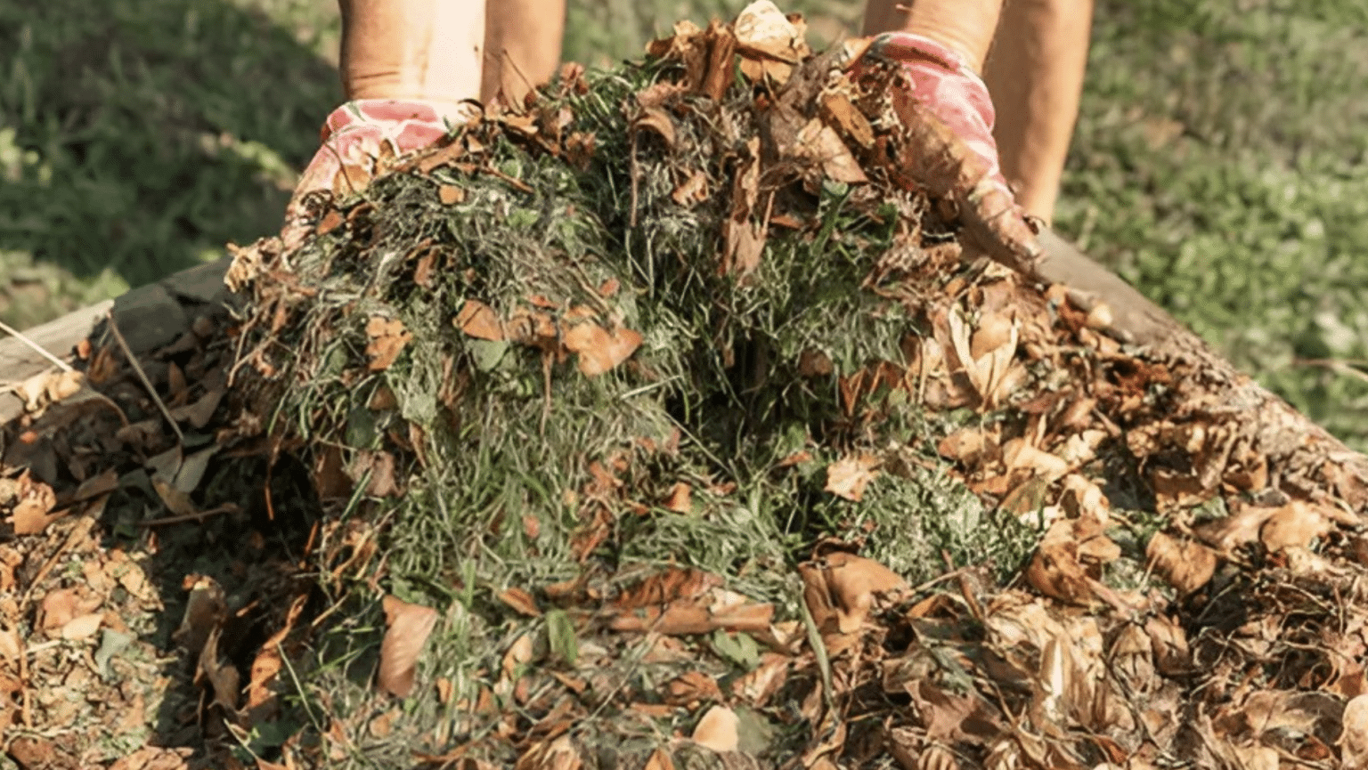 How to Make Mulch: A Step-by-Step Guide - Randy Lemmon