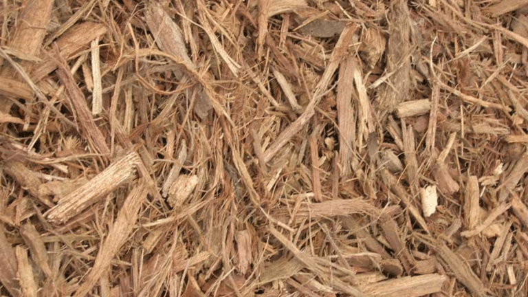 7 Best Mulches for Florida Landscapes - Randy Lemmon