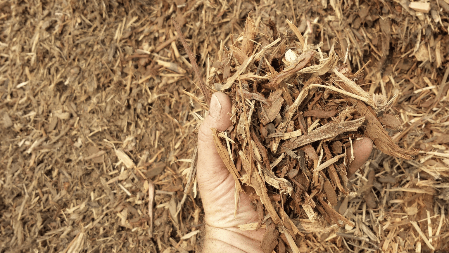 How to Make Mulch: A Step-by-Step Guide - Randy Lemmon