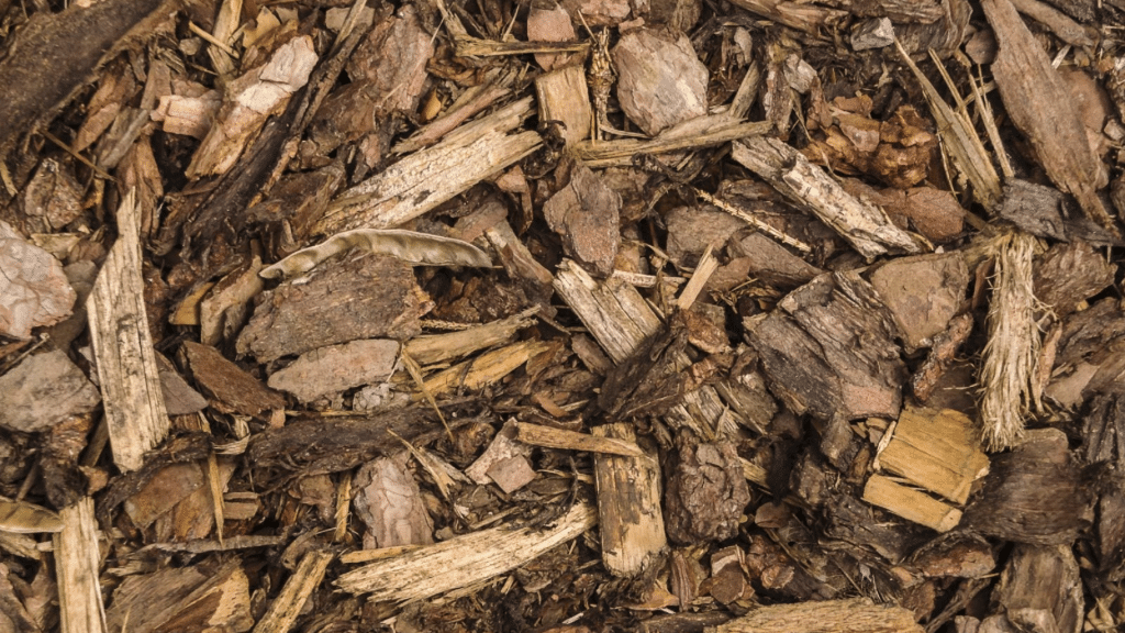 7 Best Mulches for Florida Landscapes - Randy Lemmon