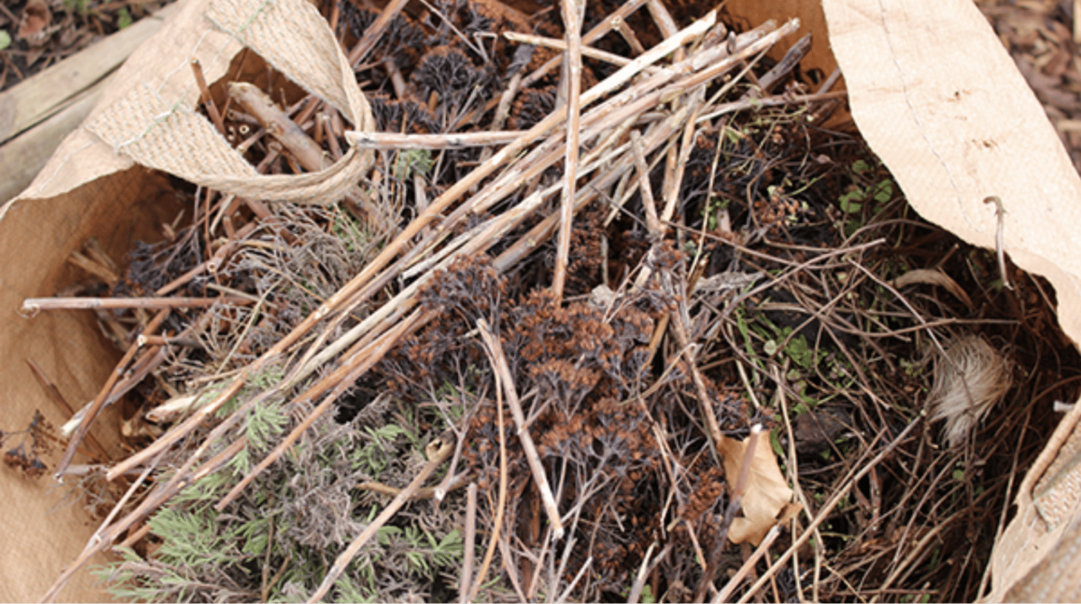 How to Make Mulch: A Step-by-Step Guide - Randy Lemmon