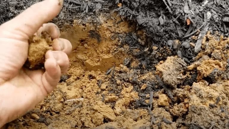 Soil Ribbon Test: A Simple How-To for Gardeners - Randy Lemmon