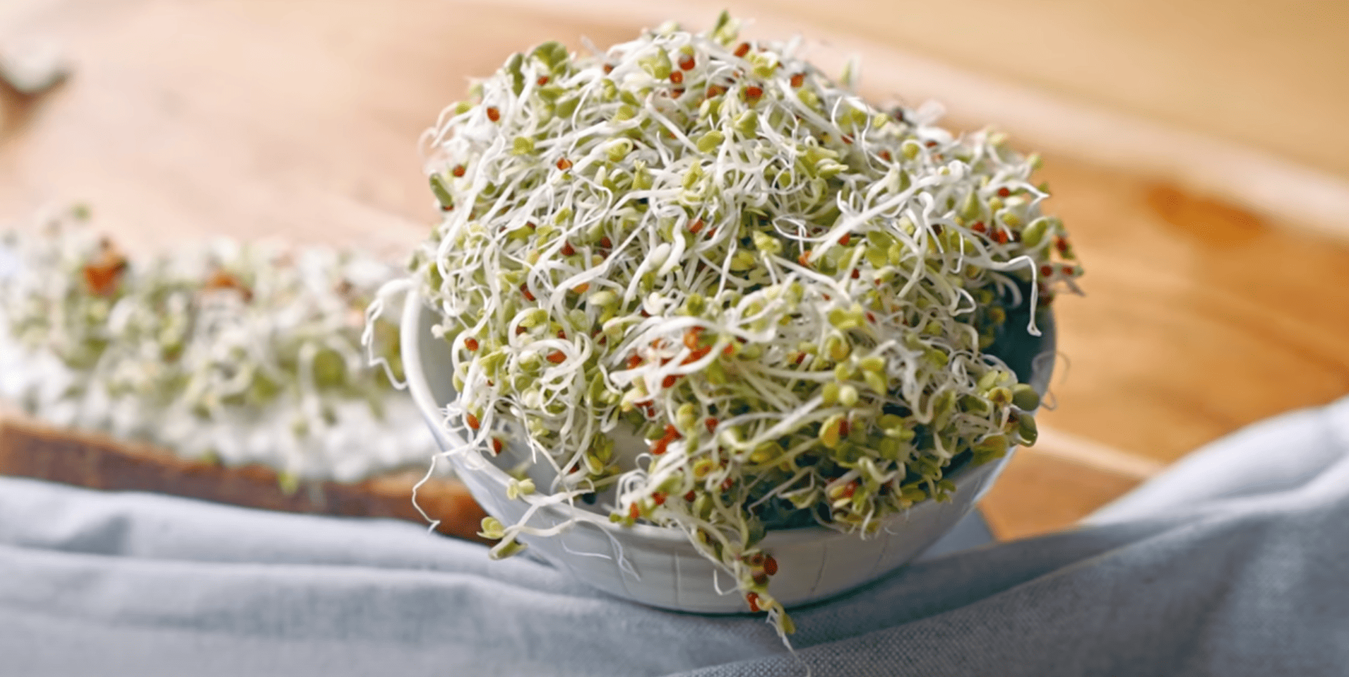 How to Grow Broccoli Sprouts at Home? - Randy Lemmon