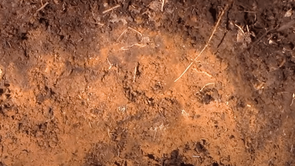 Soil Ribbon Test: A Simple How-To for Gardeners - Randy Lemmon