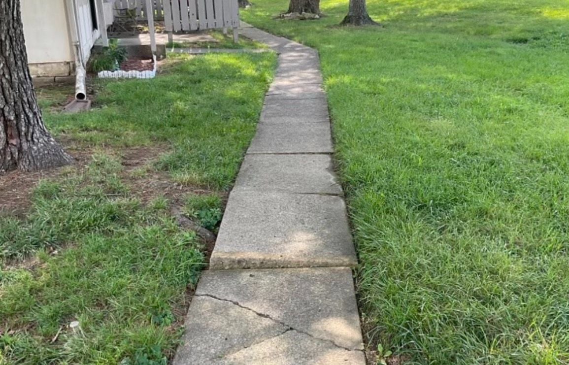 Sidewalk Lifting Near Trees: Causes, Risks and Repair Options - Randy ...