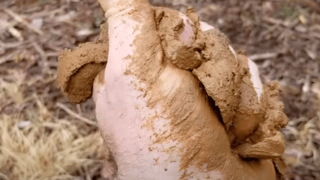Soil Ribbon Test: A Simple How-To for Gardeners - Randy Lemmon