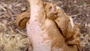 Soil Ribbon Test: A Simple How-To for Gardeners - Randy Lemmon