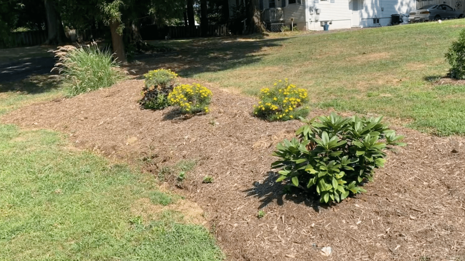 Step-by-Step Guide to Designing a Flower Berm - Randy Lemmon