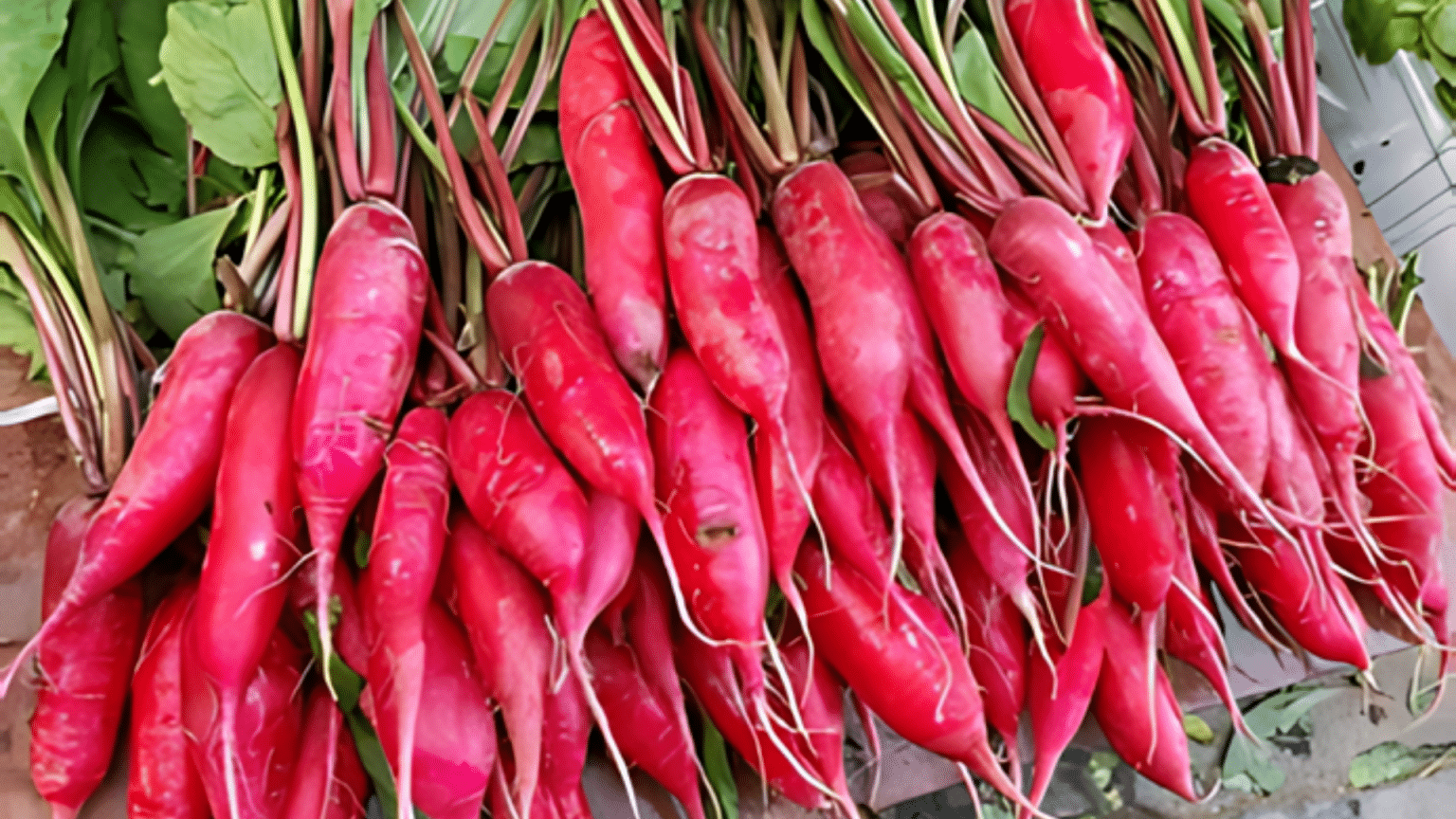 33 Purple Root Vegetables You Should Know - Randy Lemmon