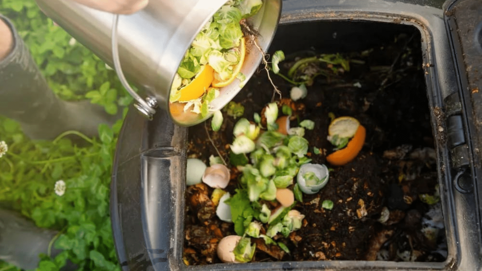What Should Be on Your Printable Compost List? - Randy Lemmon