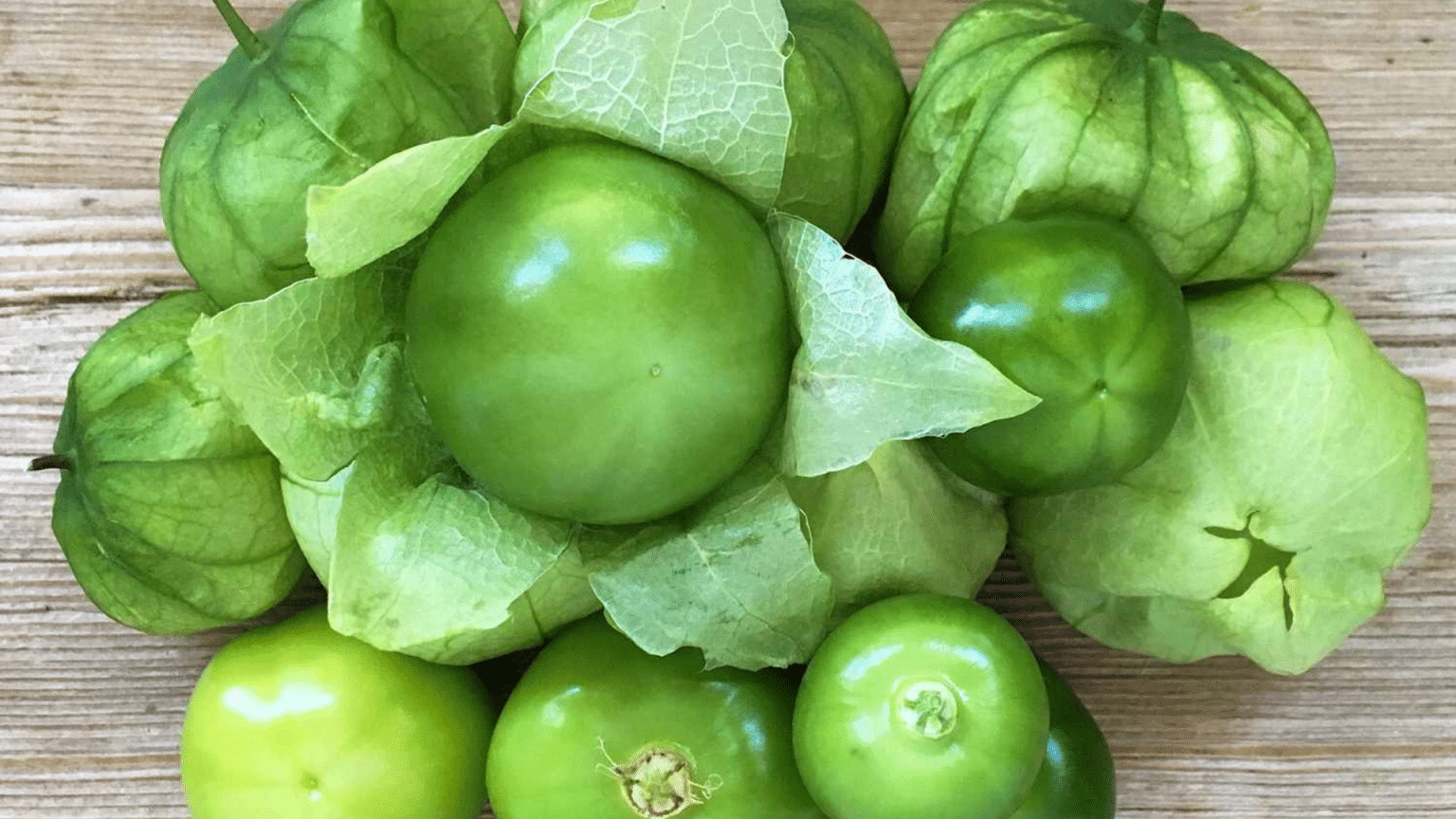 Tomatillo Growing Stages: From Seed to Harvest - Randy Lemmon