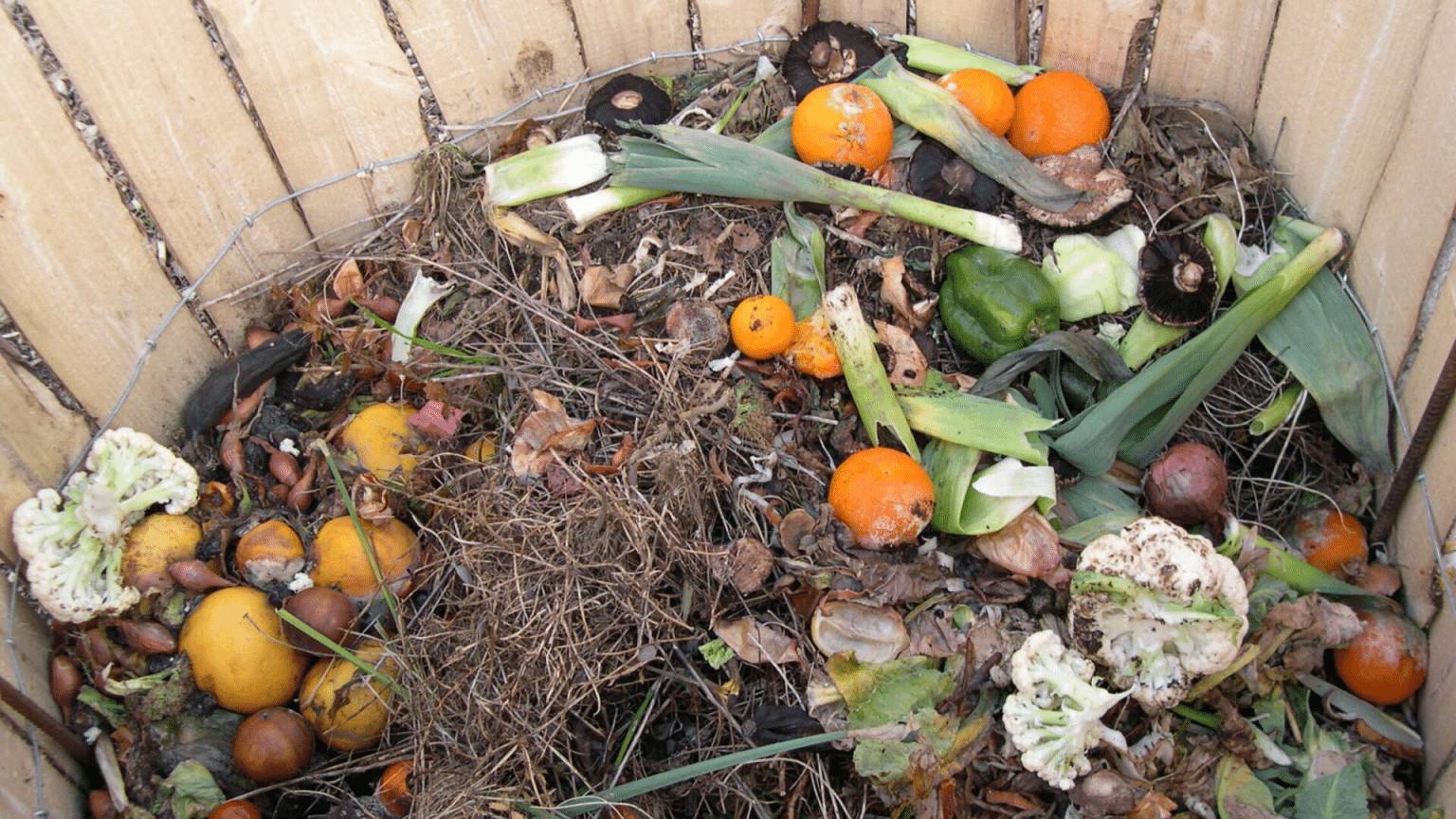 What Should Be on Your Printable Compost List? - Randy Lemmon
