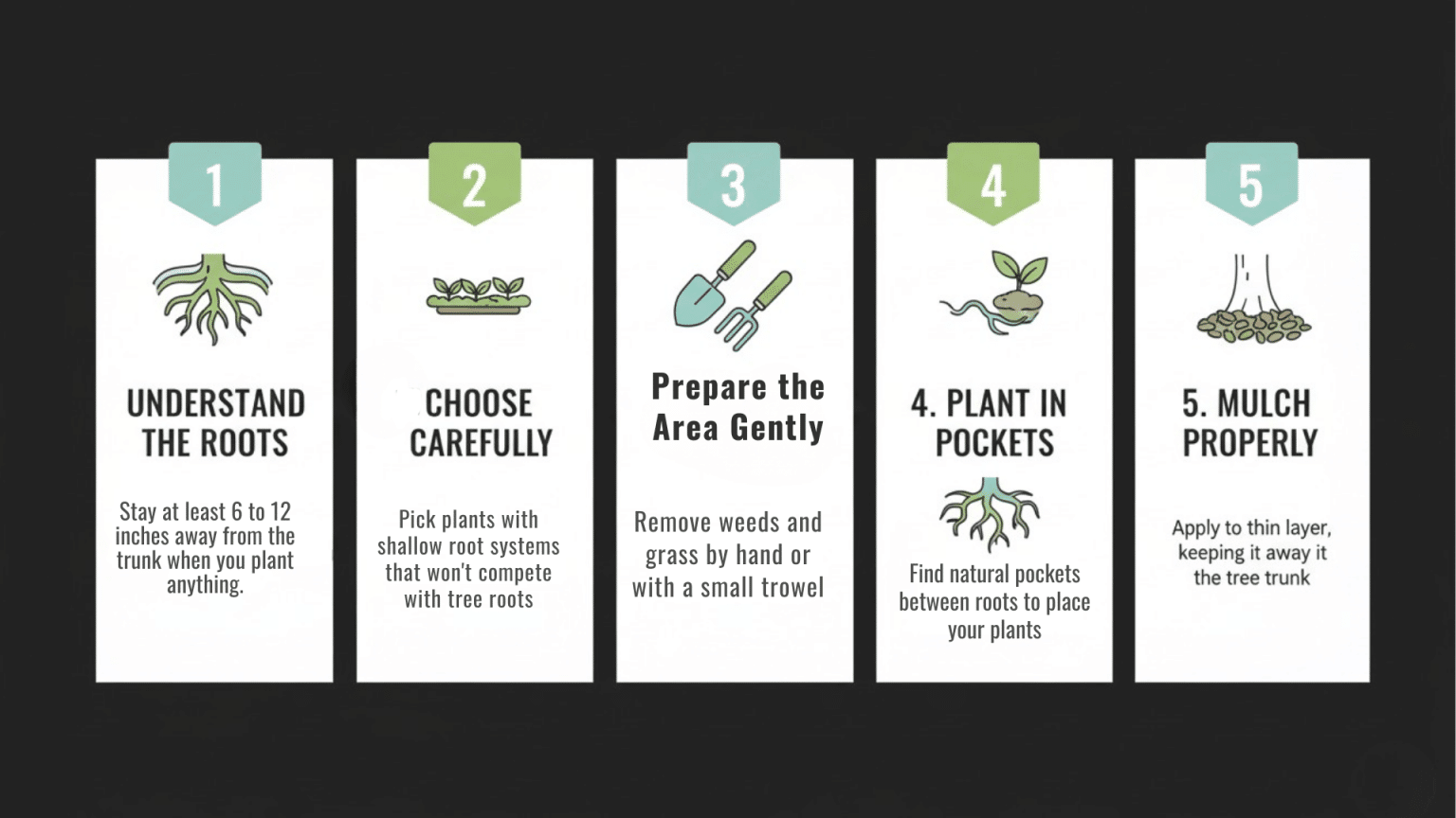 How to Landscape Around Tree Roots Safely: 11 Safe Ideas - Randy Lemmon