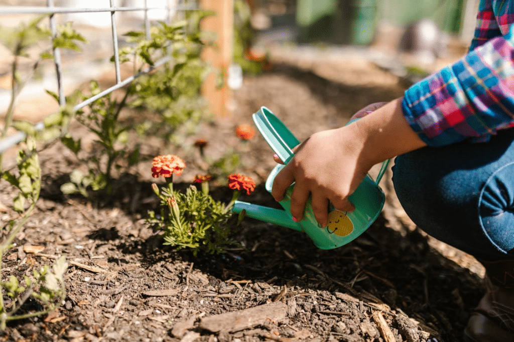 Is Dyed Mulch Safe for Your Garden? - Randy Lemmon