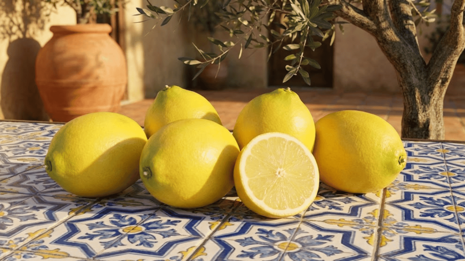 35 Different Types of Lemons Around the World - Randy Lemmon