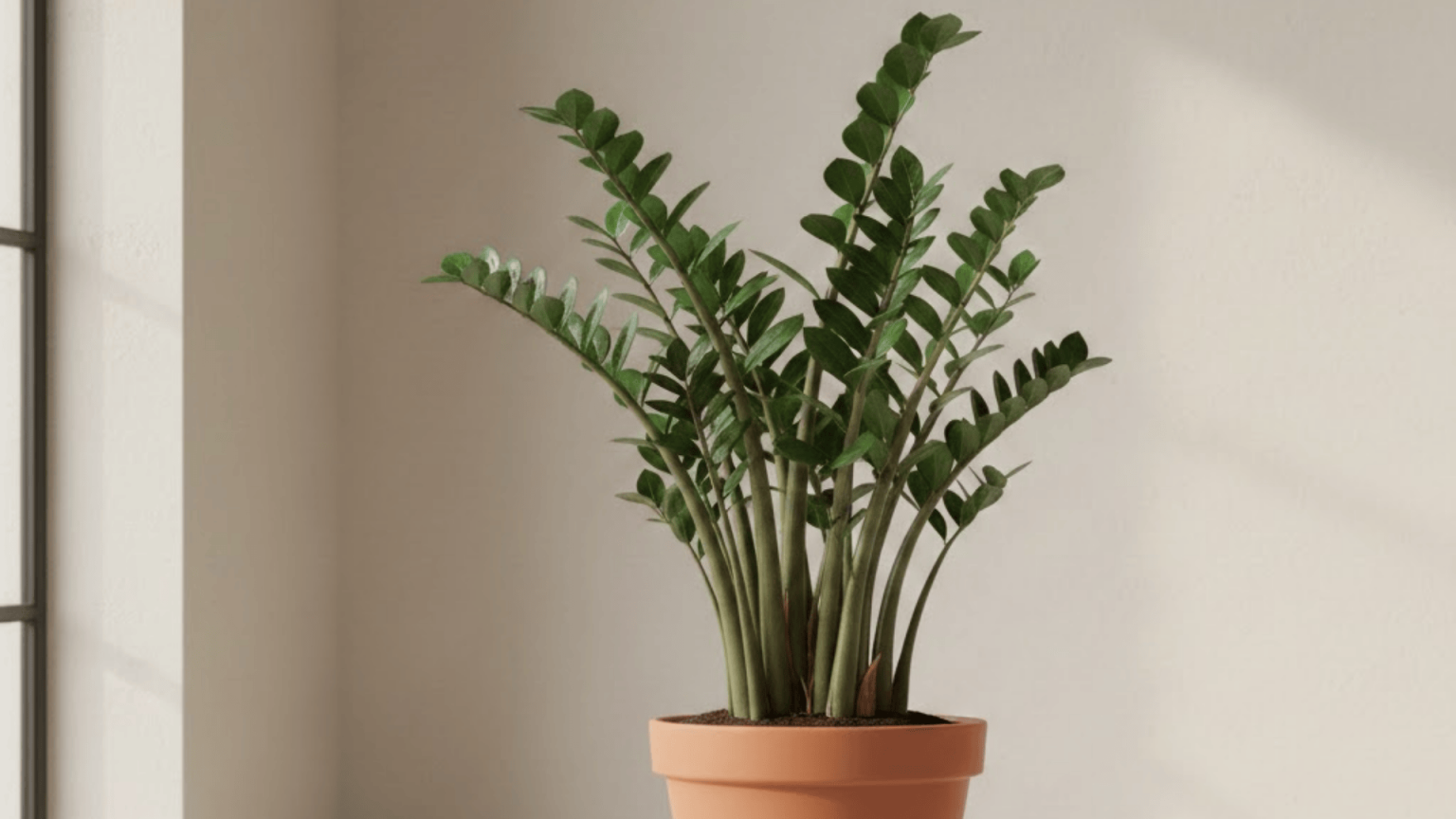 ZZ Plant Benefits at Home: Simple Guide for Every Space - Randy Lemmon