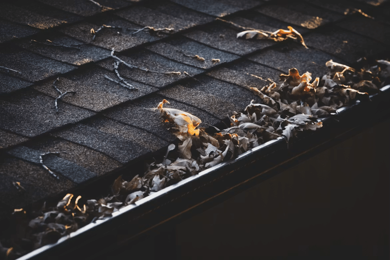 Signs Your Gutters Are Hurting Your Yard Without You Knowing It - Randy ...